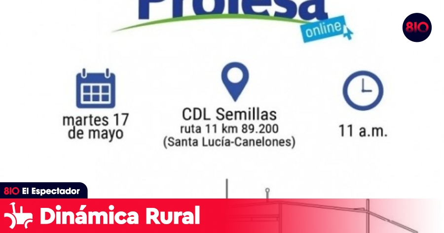 12a Edición de la Feria de Prolesa, con buen nivel de ventas | Dinámica ...
