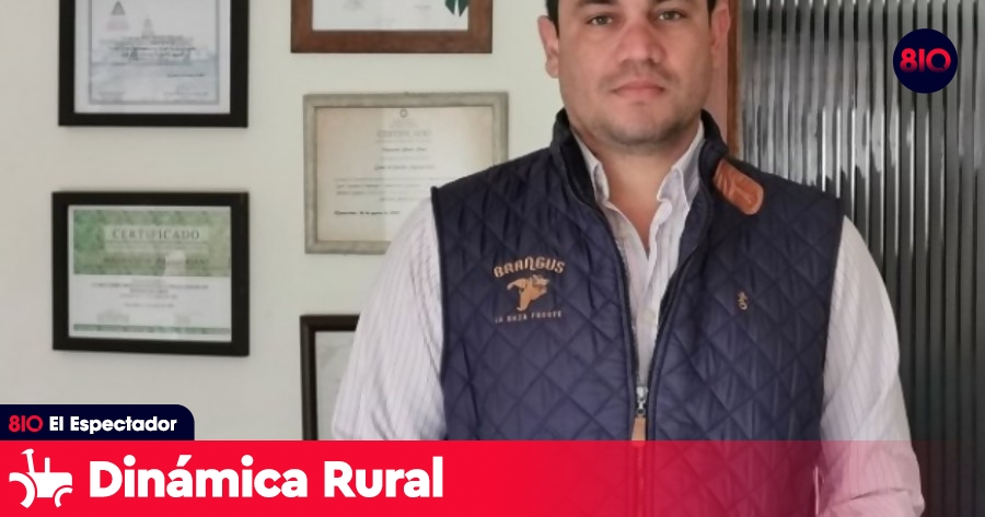 Fuques: si bien el ternero tuvo una baja, los valores al bulto siguen siendo positivos ...